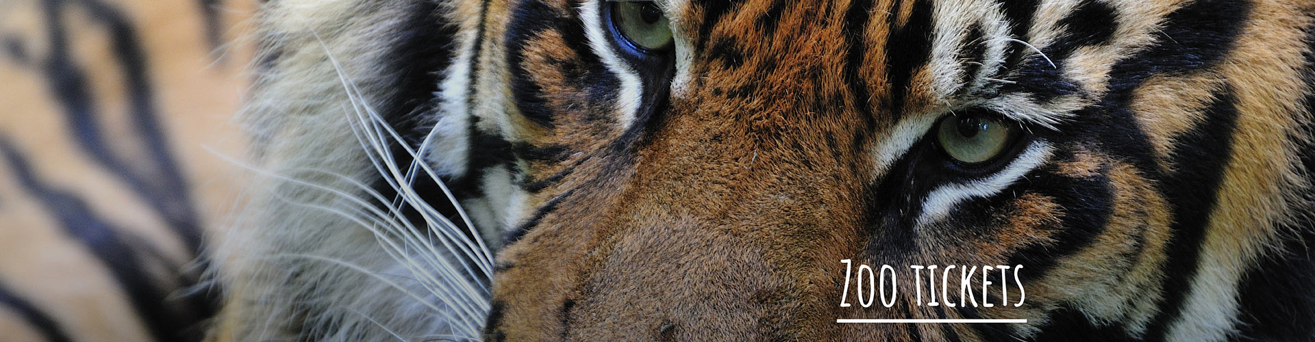 Toronto Zoo | Tickets