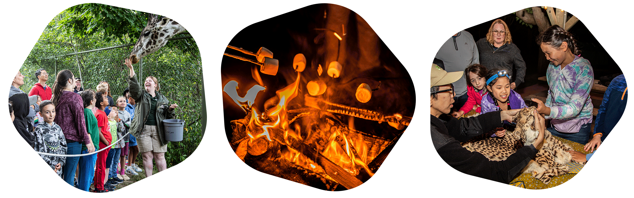 Toronto Zoo | Bush Camp