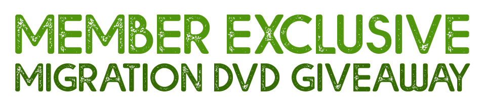 Photo Credit: Canada Running Series