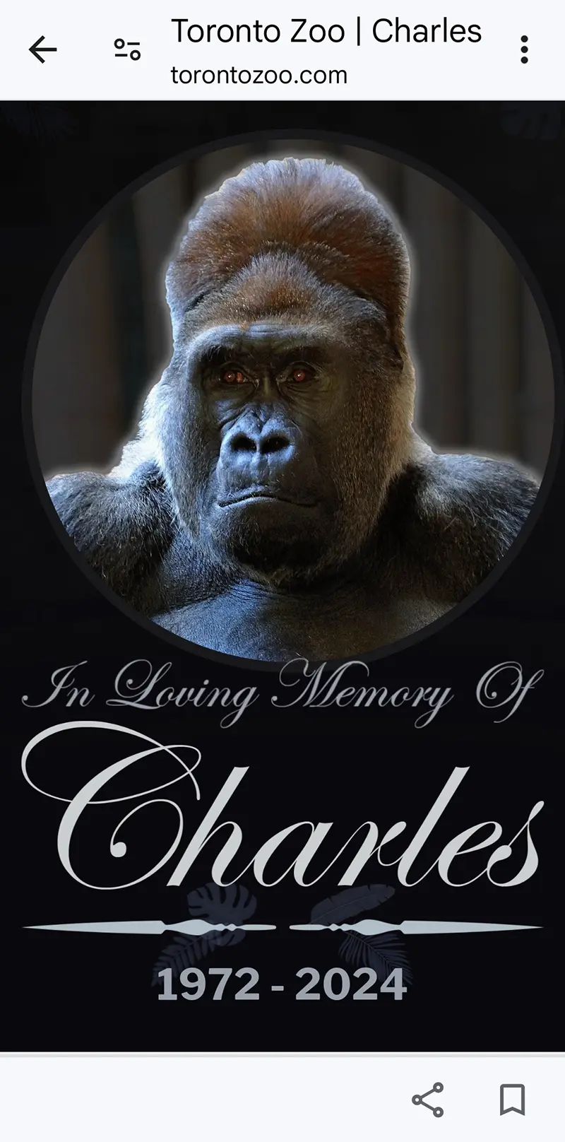 Toronto Zoo | Charles