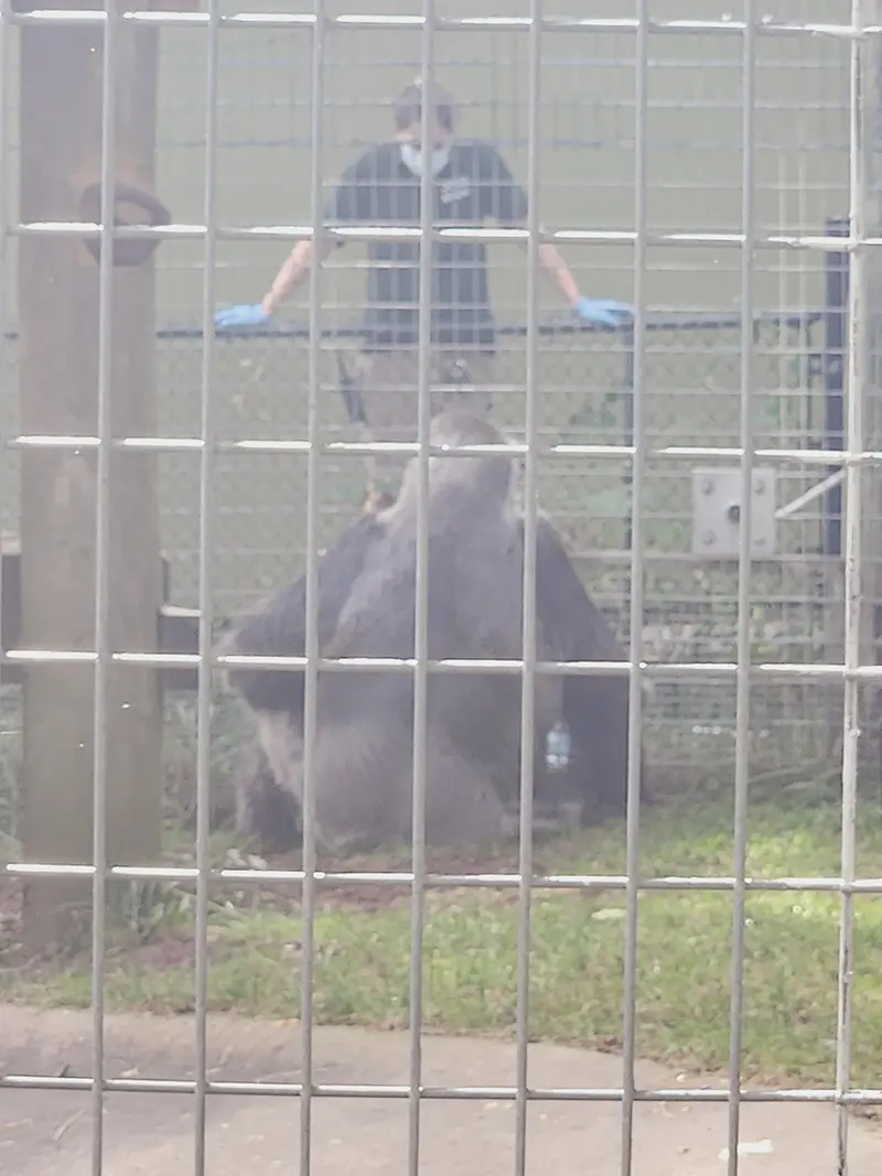 Toronto Zoo | Charles