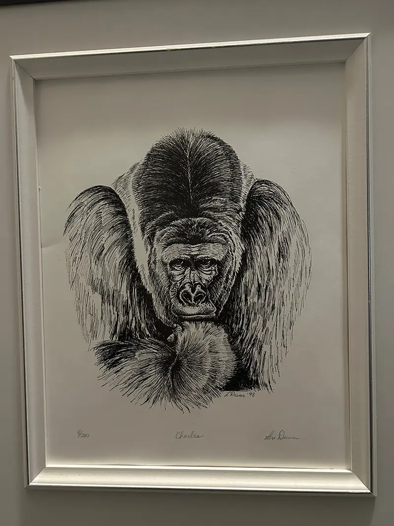 Toronto Zoo | Charles