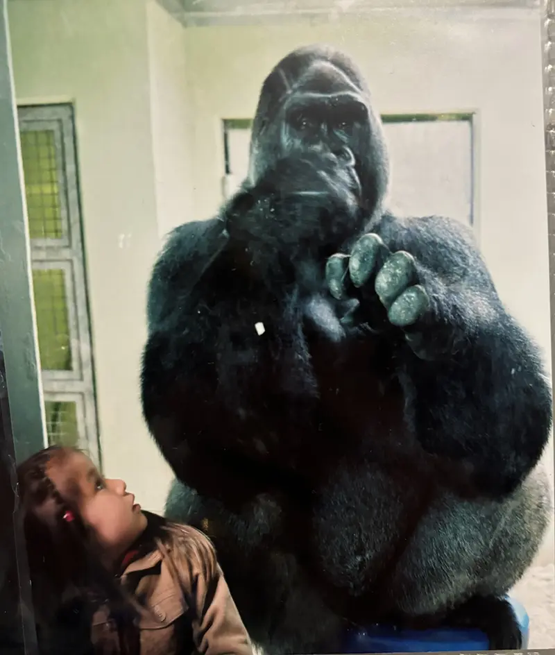 Toronto Zoo | Charles