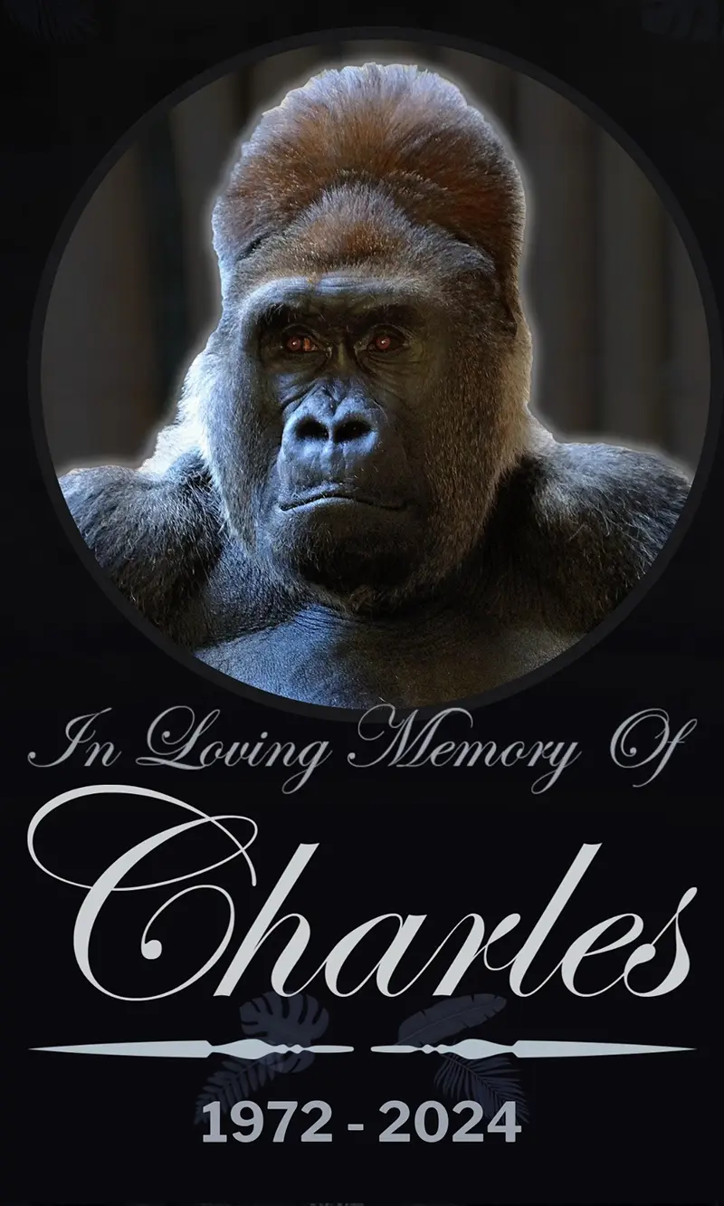 Toronto Zoo | Charles