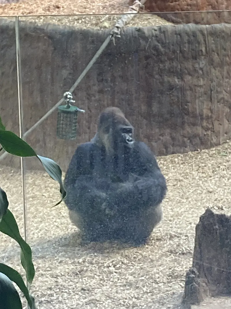 Toronto Zoo | Charles
