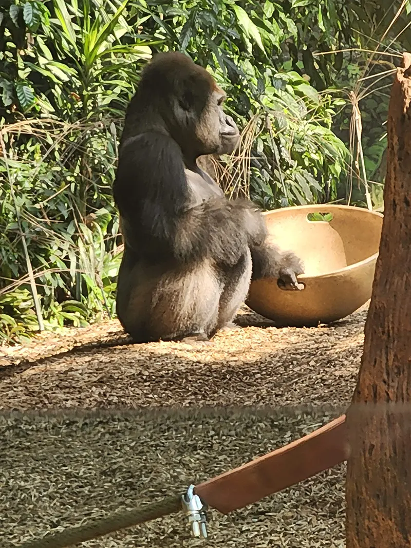 Toronto Zoo | Charles