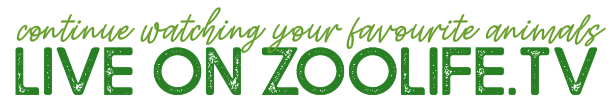Enjoy 1-week of exclusive access to zoolife! Take control of the camera ...