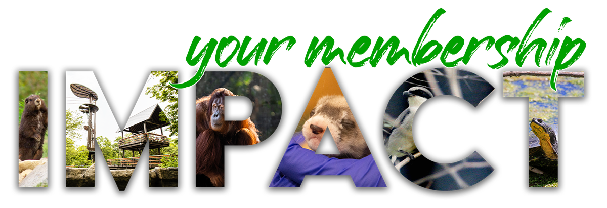 The proceeds from your membership support many incredible ...