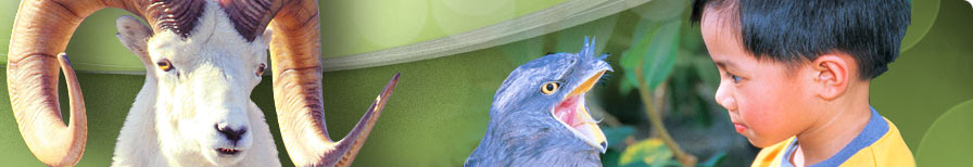 Member Photo Contest